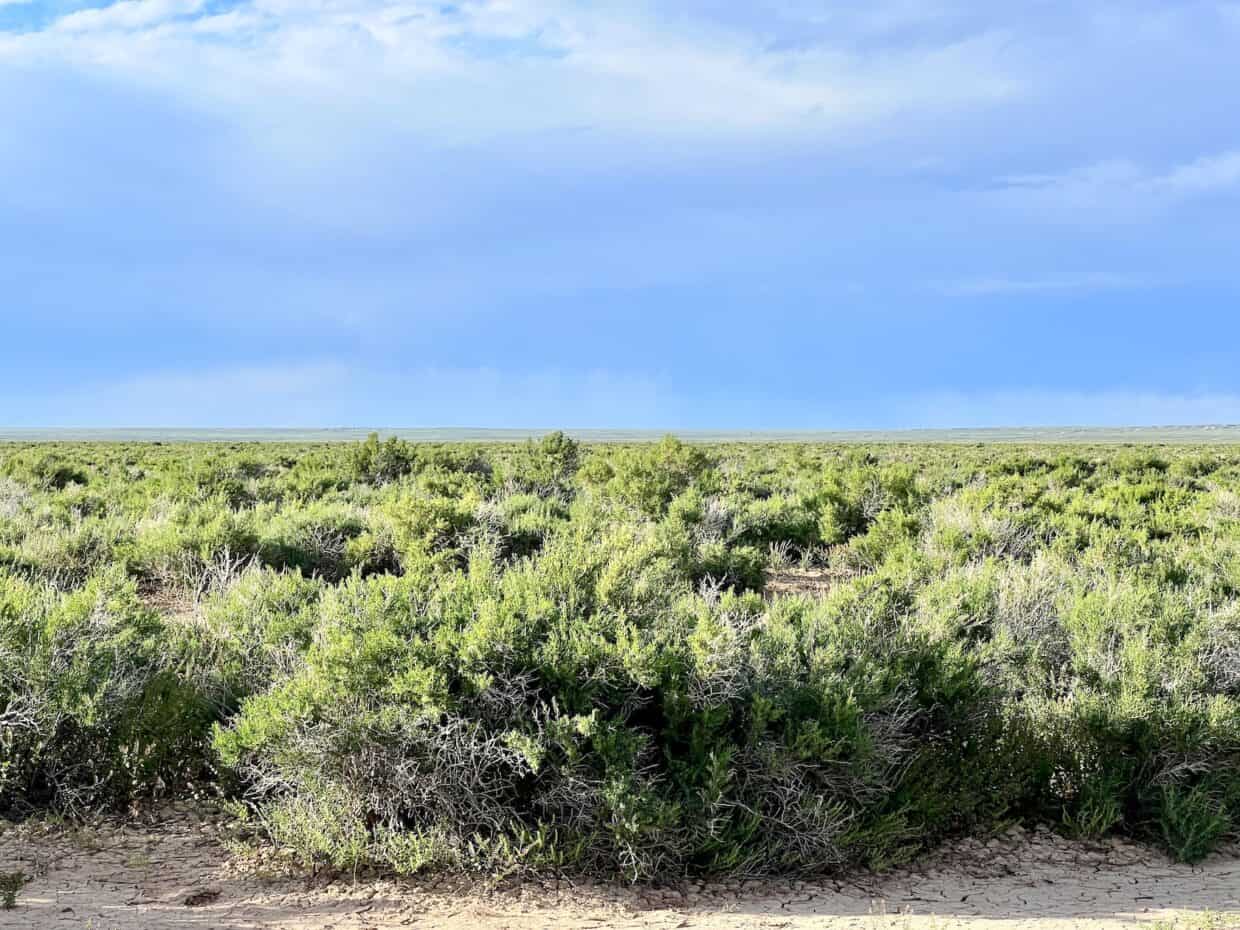 160 Acres Bordering over 1 MILLION Acres of BLM Land – Wamsutter, WY ...