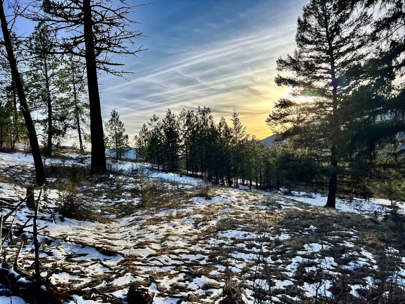 20 Acres with Kettle River Views – Ferry County, WA – Horizon Land Sales