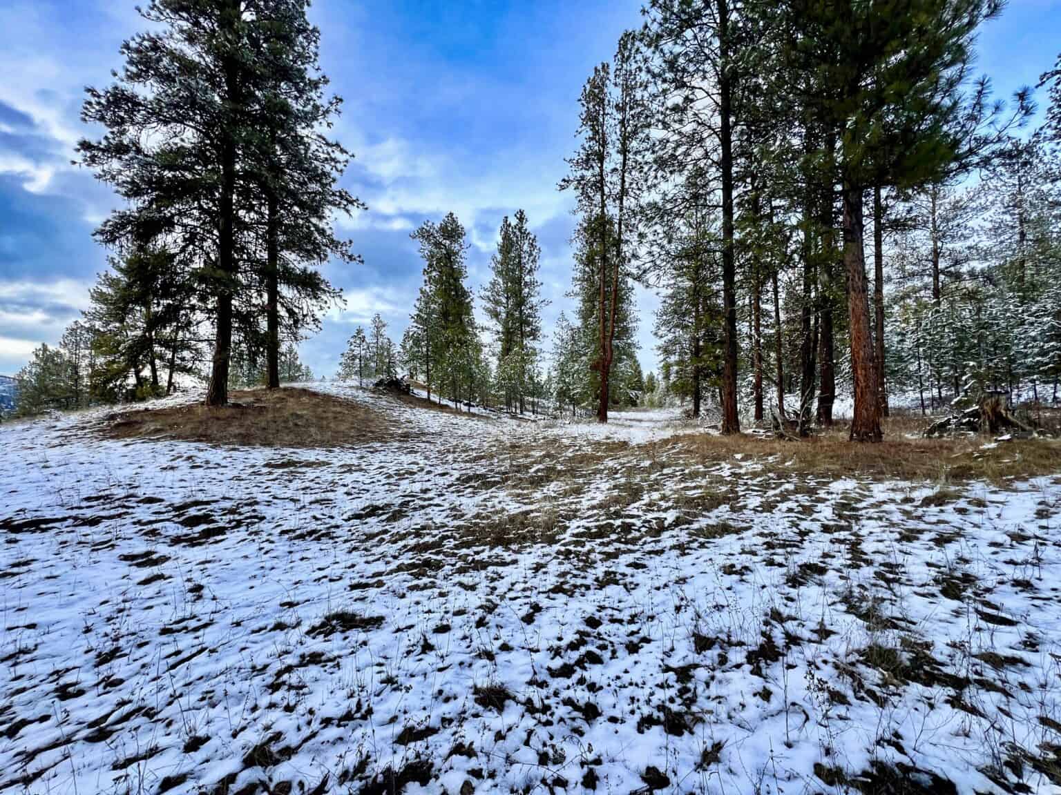 20 Acres with Kettle River Views – Ferry County, WA – Horizon Land Sales