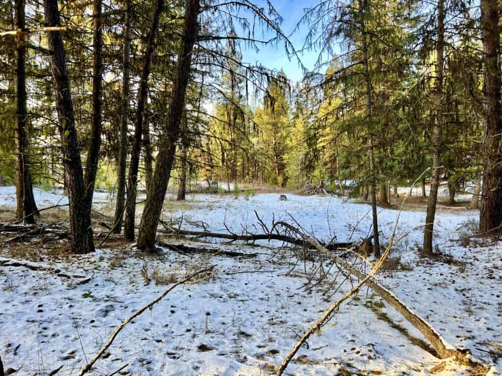 20 Acres with Kettle River Views – Ferry County, WA – Horizon Land Sales