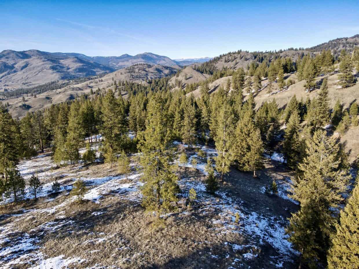 20 Acres with Kettle River Views – Ferry County, WA – Horizon Land Sales