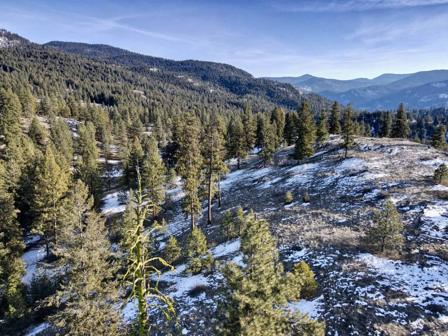 20 Acres with Kettle River Views – Ferry County, WA – Horizon Land Sales