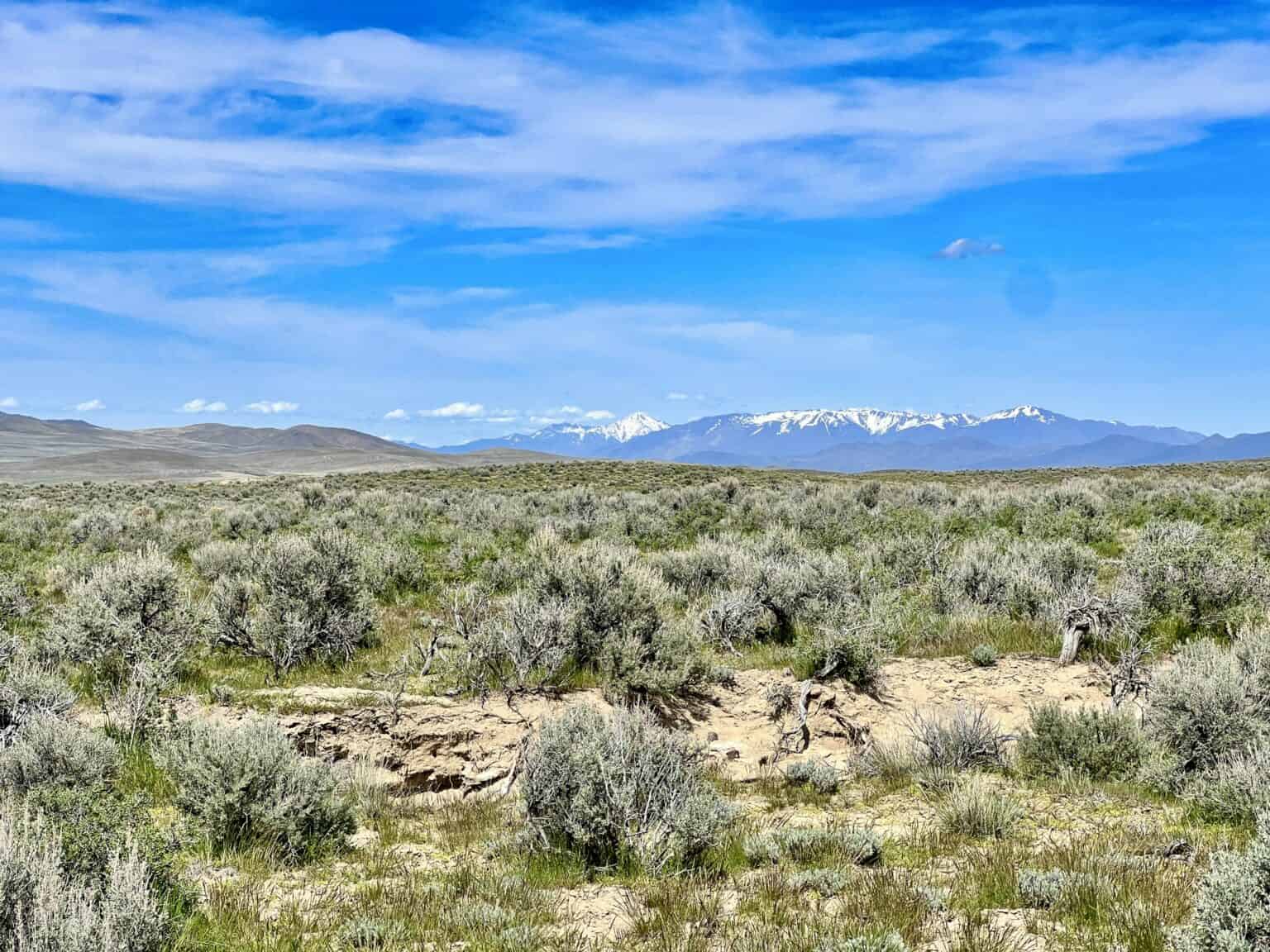 163.14 Acres at the Base of Blue Mountain – Humboldt County, NV – Horizon Land Sales
